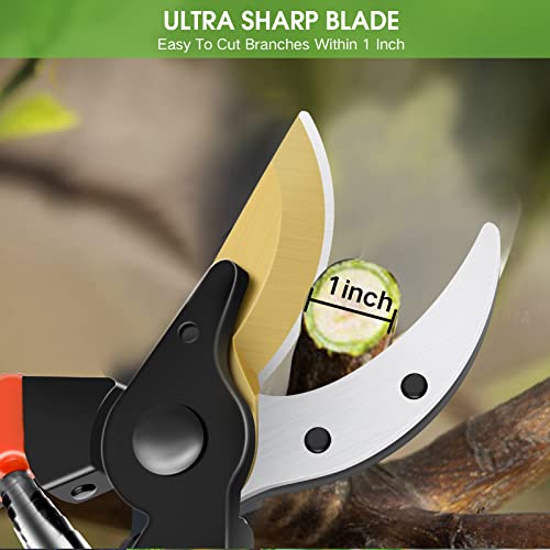 Pruning Shears for Gardening 3 Pack, WEIKA 8.5" Professional Titanium Bypass Garden Shears and 2 8.3" Garden Scissors and Gloves, Ultra Sharp Pruners Clippers for Trimming Bushes Flowers Plants