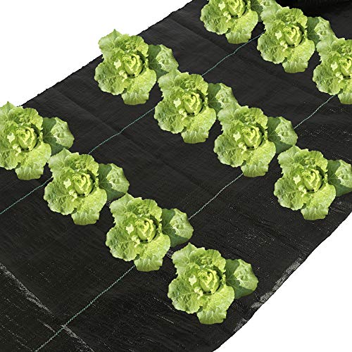 WDDH Garden Weed Barrier Landscape Fabric with 3'' Planting Holes, 3.3 Ft X 11.8 Ft Heavy-Duty Weed Block Gardening Mat Soil Erosion Control and UV Stabilized