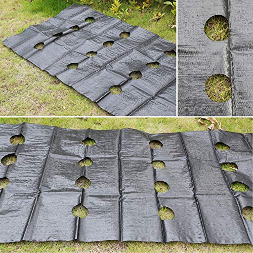 WDDH Garden Weed Barrier Landscape Fabric with 3'' Planting Holes, 3.3 Ft X 11.8 Ft Heavy-Duty Weed Block Gardening Mat Soil Erosion Control and UV Stabilized