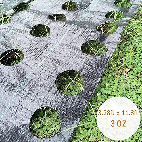 WDDH Garden Weed Barrier Landscape Fabric with 3'' Planting Holes, 3.3 Ft X 11.8 Ft Heavy-Duty Weed Block Gardening Mat Soil Erosion Control and UV Stabilized