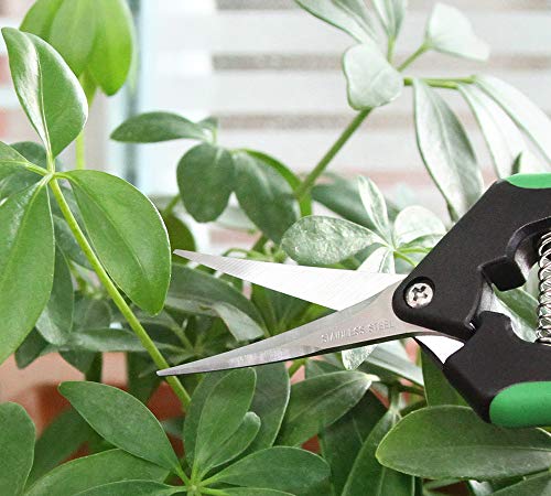 LDK Gardening Hand Pruner Pruning Snip Pruning Shears for Bud, Garden Trimming Scissors with Stainless Steel Curved Blades, 6.5-Inch