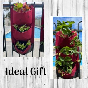 Vertical Wall Hanging Felt Fabric Planter Grow Bags/Hanging Garden Planter Kit Red Felt Waterproof Back 2 Pack x 3 Pocket for Indoor or Outdoor/Vegetable, Herb, Flower, Succulent or Seed Planter