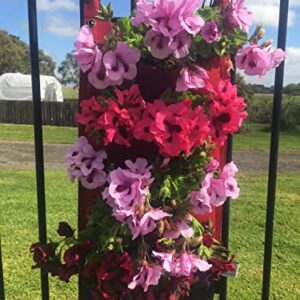 Vertical Wall Hanging Felt Fabric Planter Grow Bags/Hanging Garden Planter Kit Red Felt Waterproof Back 2 Pack x 3 Pocket for Indoor or Outdoor/Vegetable, Herb, Flower, Succulent or Seed Planter