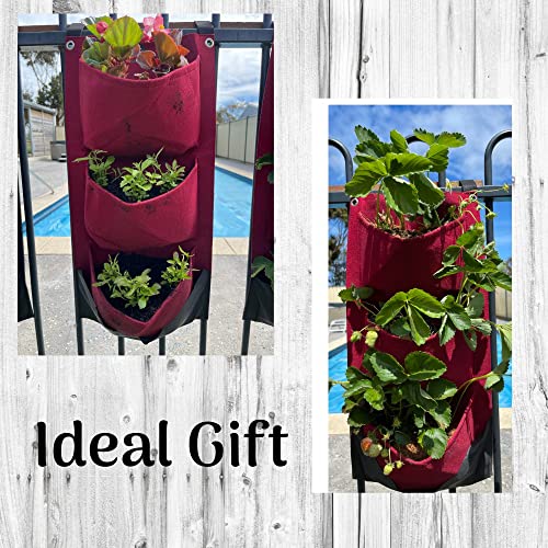 Vertical Wall Hanging Felt Fabric Planter Grow Bags/Hanging Garden Planter Kit Red Felt Waterproof Back 2 Pack x 3 Pocket for Indoor or Outdoor/Vegetable, Herb, Flower, Succulent or Seed Planter