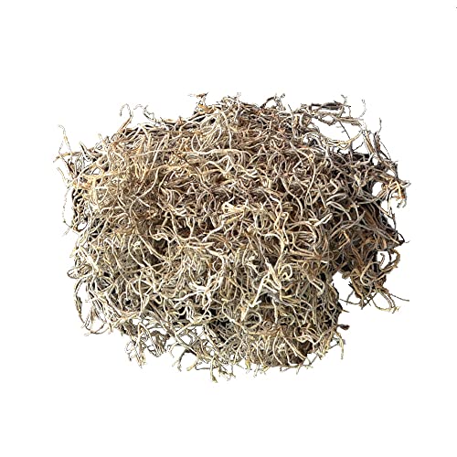 Mosser Spanish Decorative Moss, 250-Cubic Inch