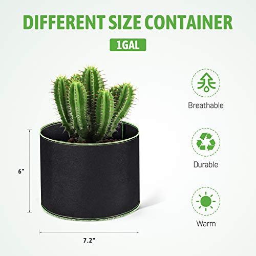 Delxo Garden Grow Bags 1 Gallon 10 Pack Plant Growing Bags Small Fabric Pots for Planting, Vegetable