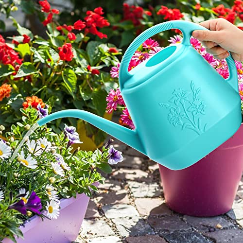 Fasmov 1-Gallon Plastic Watering Can with Comfortable Handle, Garden Watering Cans Long Spout for Indoor Outdoor Watering Plants, Bright Blue