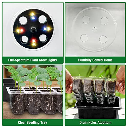 DUCRKAC (5-Pack) Seed Starter Tray with Grow Light & Humidity Dome, 60-Cell Seedling Starter Trays, Plant Starter Kit Indoor, Seed Starting Supplies, Garden Seed Growing Kit, Plant Germination Trays