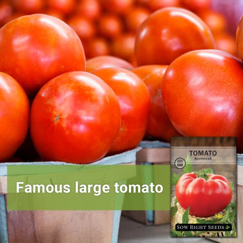 Sow Right Seeds - Beefsteak Tomato Seed for Planting - Non-GMO Heirloom Packet with Instructions to Plant a Home Vegetable Garden - Great Gardening Gift (1)