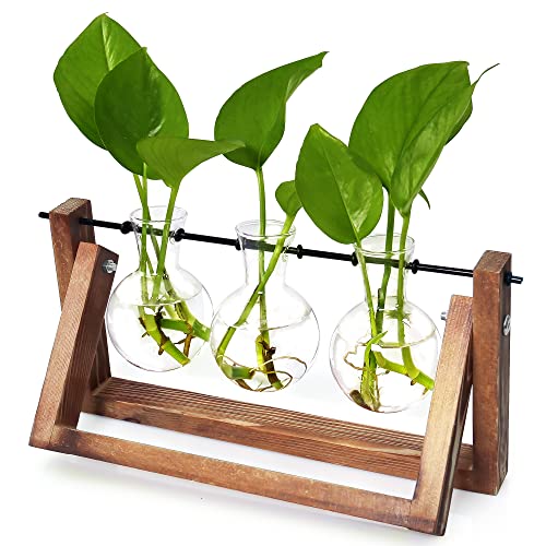 Ivolador Desktop Propagation Station, Bulb Plant Terrarium with Retro Solid Wooden Stand and Metal Swivel Holder for Hydroponics Plants Home Garden Wedding Decor (3 Bulb)