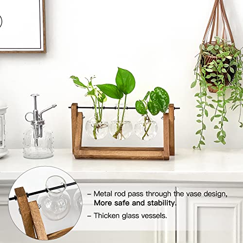 Ivolador Desktop Propagation Station, Bulb Plant Terrarium with Retro Solid Wooden Stand and Metal Swivel Holder for Hydroponics Plants Home Garden Wedding Decor (3 Bulb)