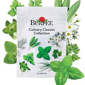 Burpee Culinary Classics Garden Collection 10 Packets of Non-GMO Chives, Cilantro, Basil, Sage, Thyme, Dill, Parsley, Chamomile, Marjoram & Oregano | Kitchen Herb Variety Pack, Seeds for Planting