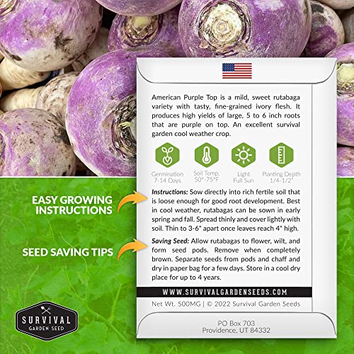 Survival Garden Seeds - American Purple Rutabaga Seed for Planting - Packet with Instructions to Plant and Grow Brassica Napus in Your Home Vegetable Garden - Non-GMO Heirloom Variety