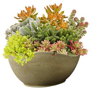 Classic Home & Garden 573D 514 Arc Pot Planter, Desert