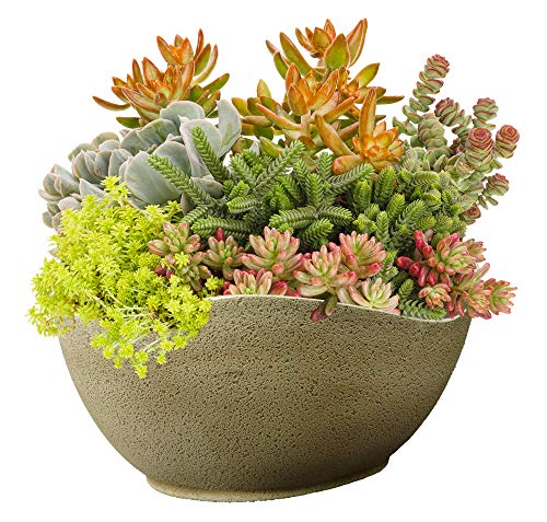 Classic Home & Garden 573D 514 Arc Pot Planter, Desert