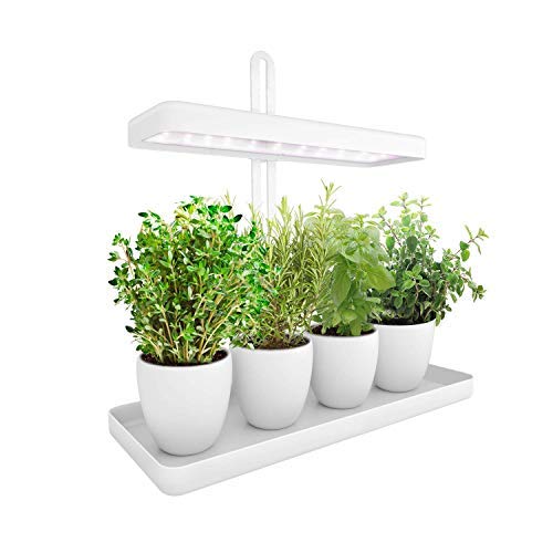 GrowLED LED Indoor Herb Garden, Height Adjustable Plant Grow Indoor Garden Light, LED Germination Kit with Smart Timer, Suitable for Various Plants, White Light