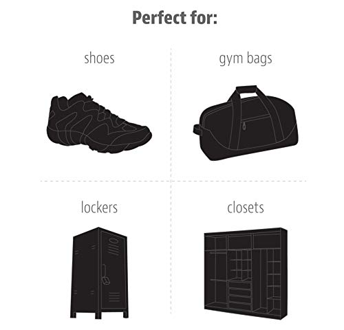 Sof Sole Sneaker Balls Shoe, Gym Bag, and Locker Deodorizer, 3 Pair, Sports