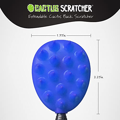 Extendable Cactus Back Scratcher, ABS Plastic, Relieves Itching on Back, Neck, Head, Beard, and Body, 16 Spikes per Side, 8.5 Inches Compact Back Scratcher Extendable to 24.5 Inches (Blue)