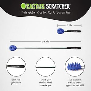 Extendable Cactus Back Scratcher, ABS Plastic, Relieves Itching on Back, Neck, Head, Beard, and Body, 16 Spikes per Side, 8.5 Inches Compact Back Scratcher Extendable to 24.5 Inches (Blue)