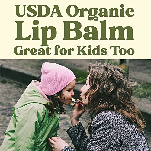 USDA Organic Lip Balm 6-Pack by Earth's Daughter - Fruit Flavors, Beeswax, Coconut Oil, Vitamin E - Best Lip Repair Chapstick for Dry Cracked Lips - Moisturizing Lip Care For Kids And Adults