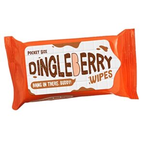 gearsout dingleberry wipes pocket size novelty moist towelettes for teen boys mens stocking stuffers funny poop humor gifts present unscented, orange, 15 count (pack of 1)