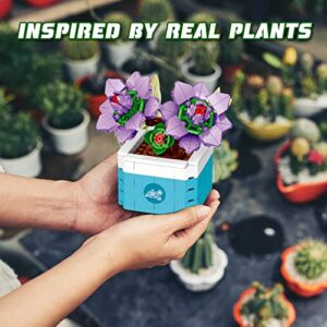 WISEPLAY Succulent Building Blocks Set - Christmas Stocking Stuffers for Woman and Teens Girls - Unique Flower Home Décor Idea - Build & Display Creative Building Project for Women and Teens