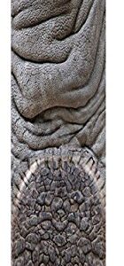 Tiaronics 3D Socks Unisex Adult Animal Paw Crew Socks - Sublimated Print (Elephant)