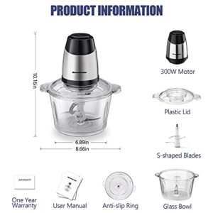 Electric Food Chopper, 8-Cup Food Processor by Homeleader, 2L Glass Bowl Grinder for Meat, Vegetables, Fruits and Nuts, Stainless Steel Motor Unit and 4 Sharp Blades, 300W