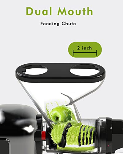 Slow Juicer Machines, SiFENE Cold Press Juicer, Dual Feed Chute Masticating Juicer, Juice Maker Extractor, Easy to Clean, Quiet Motor & Reverse Function, Brush& Recipes Included