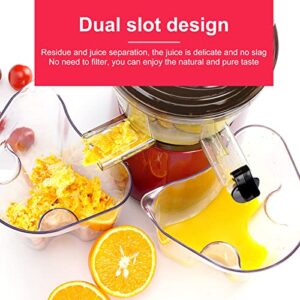 OverTwice Slow Masticating Juicer Cold Press Juice Extractor Apple Orange Citrus Juicer Machine with Wide Chute Quiet Motor for Fruit Vegetables