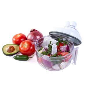 salsa master salsa maker, food chopper, mixer and blender – as seen on tv manual food processor