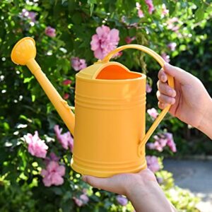 OKREK Watering Can Indoor Watering Cans for House Plants, Small Watering Can Indoor Plants, Plant Watering Can for Outdoor Plants Garden Flower (1/2 Gallon, Black)