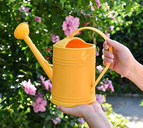 OKREK Watering Can Indoor Watering Cans for House Plants, Small Watering Can Indoor Plants, Plant Watering Can for Outdoor Plants Garden Flower (1/2 Gallon, Black)