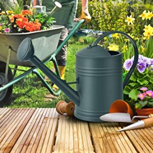 OKREK Watering Can Indoor Watering Cans for House Plants, Small Watering Can Indoor Plants, Plant Watering Can for Outdoor Plants Garden Flower (1/2 Gallon, Black)