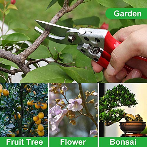 KAJUDA 8" Pruning Shears, Professional Bypass Garden Shear Hand Pruners Gardening Shears Clippers for Plants, Flower Cutter Florist Scissors Trimming Scissors, Gardening Tools (Traditional)