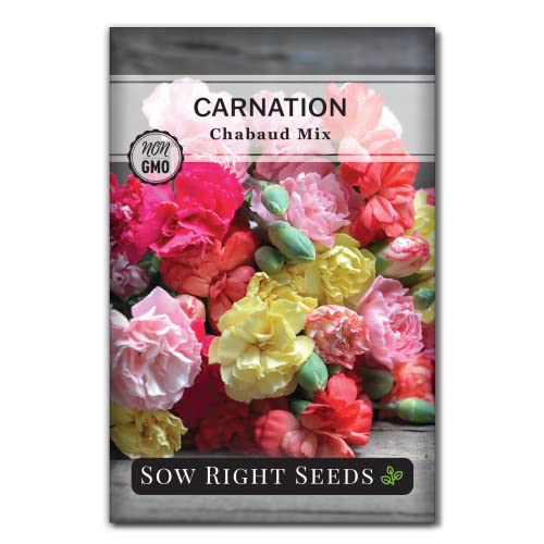 Sow Right Seeds - Carnation Chabaud Mix Flower Seeds for Planting - Beautiful Flowers to Plant in Your Home Garden - Non-GMO Heirloom Seeds - Cut Flower Perfect for Bouquets - Great Gardening Gift