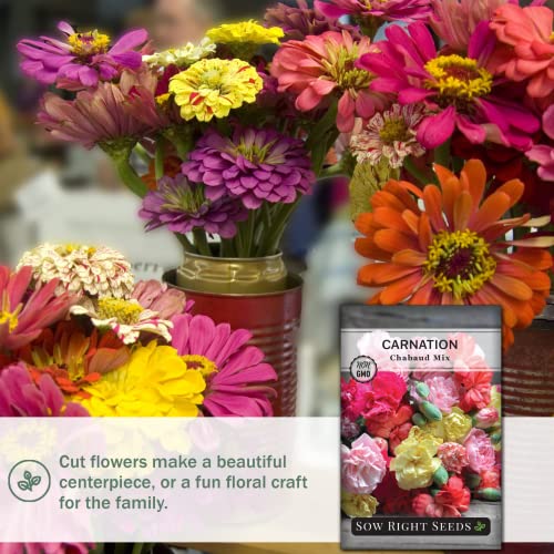 Sow Right Seeds - Carnation Chabaud Mix Flower Seeds for Planting - Beautiful Flowers to Plant in Your Home Garden - Non-GMO Heirloom Seeds - Cut Flower Perfect for Bouquets - Great Gardening Gift