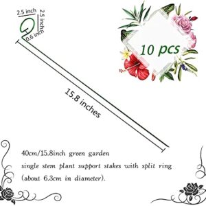 JJZJ 15.8 Inches Single Stem Plant Support Stakes Steel Garden Stakes, Pack of 10