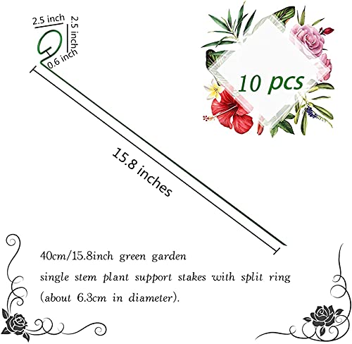 JJZJ 15.8 Inches Single Stem Plant Support Stakes Steel Garden Stakes, Pack of 10