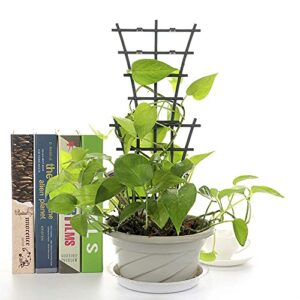 GWOKWAI 12Pcs Plant Climbing Trellis Supports, DIY Garden Mini Superimposed Potted Plant Support Plastic Pot Plant Stem Support Wire for Indoor Outdoor Vines Flower Vegetable