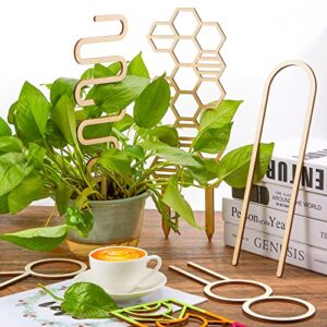 6 Pcs Wooden Small Indoor Trellis Potted Climbing Plants Hexagon Trellis Honeycomb Outdoor Garden Plant Lattice Moon Wooden Pot Trellis for Vine Flower Stem Training Support Pole Accessories, 6 Shapes