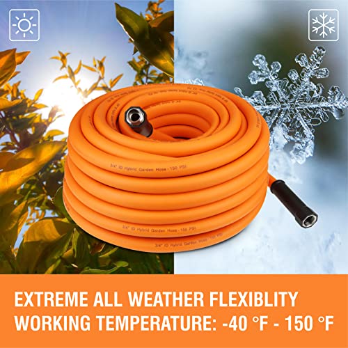 Tahoe Trails Hybrid Flex Garden Water Hose 5/8" x 50 ft, with Swivel Grips and Solid Brass Fittings, Extreme All Weather Flexibility