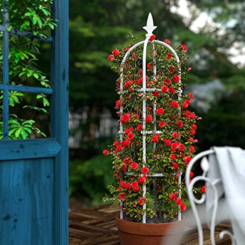 Kamansy Garden Trellis for Outdoor Climbing Plants, Trellis for Potted Plants, Wire Plants Trellis, 6 ft Tall Iron Metal Trellis Plants Trellis