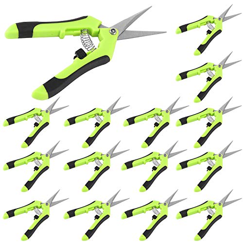 HAKZEON 15 Pack 6.5 Inch Professional Bud Trimming Scissors,Stainless Steel Micro-Tip Gardening Hand Pruners with Straight Blades, for Easy Pruning Garden Tree Pot Plant Flowers