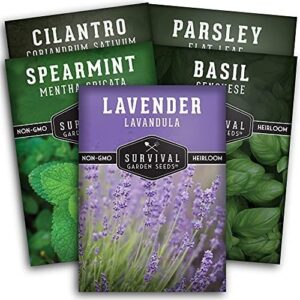 survival garden seeds popular herb collection seed vault – lavender, spearmint, basil, cilantro, parsley – non-gmo heirloom survival garden seeds for planting – grow herbs in your vegetable garden