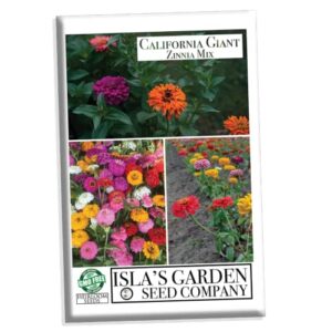 “california giant mix” zinnia seeds for planting, 200+ flower seeds per packet, (isla’s garden seeds), non gmo & heirloom seeds, botanical name: zinnia elegans, great home garden gift