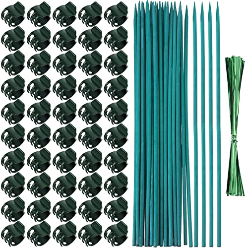 Jetec 50 Pieces Orchid Clips Plastic Garden Plant Clips with 30 Pieces Green Bamboo Plant Stakes, 30 Pieces Metallic Twist Ties for Supporting Stems Vines Stalks Grow Upright (38 cm)