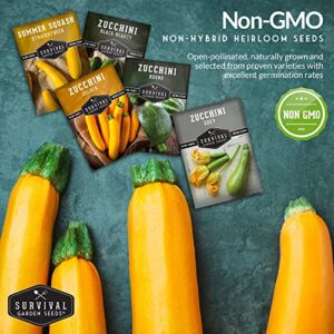 Survival Garden Seeds Zucchini & Squash Collection Seed Vault - Non-GMO Heirloom Seeds for Planting Vegetables - Assortment of Golden, Round, Grey, Black Beauty Zucchinis, Straight Neck Summer Squash