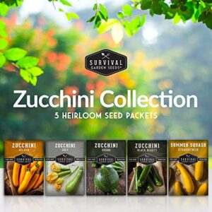 Survival Garden Seeds Zucchini & Squash Collection Seed Vault - Non-GMO Heirloom Seeds for Planting Vegetables - Assortment of Golden, Round, Grey, Black Beauty Zucchinis, Straight Neck Summer Squash