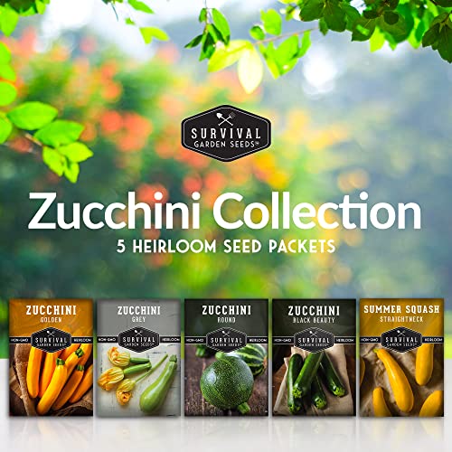 Survival Garden Seeds Zucchini & Squash Collection Seed Vault - Non-GMO Heirloom Seeds for Planting Vegetables - Assortment of Golden, Round, Grey, Black Beauty Zucchinis, Straight Neck Summer Squash